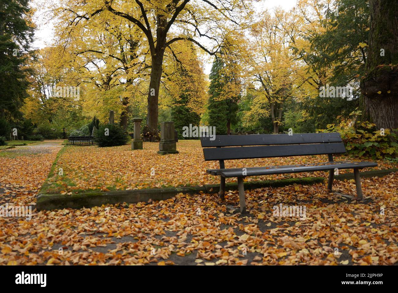 Outdoor shot bench park hi-res stock photography and images - Alamy