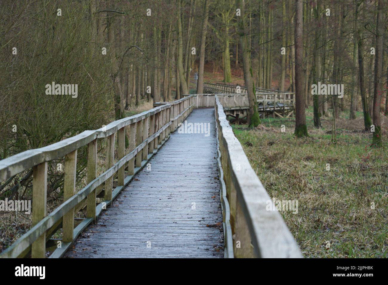 Old wooden pathway hi-res stock photography and images - Alamy