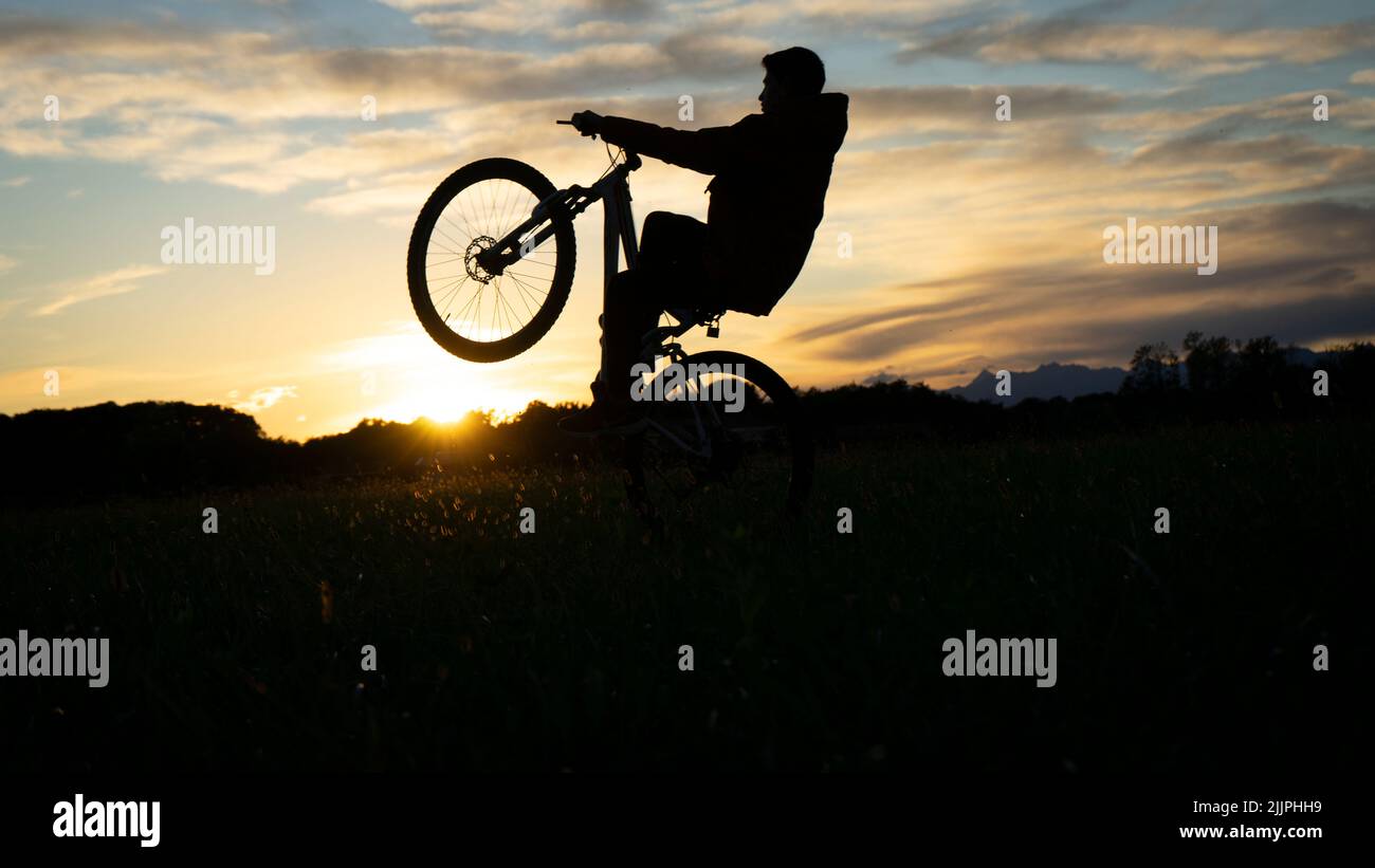 A view of a man driving a bicycle in the green field during the sunset ...