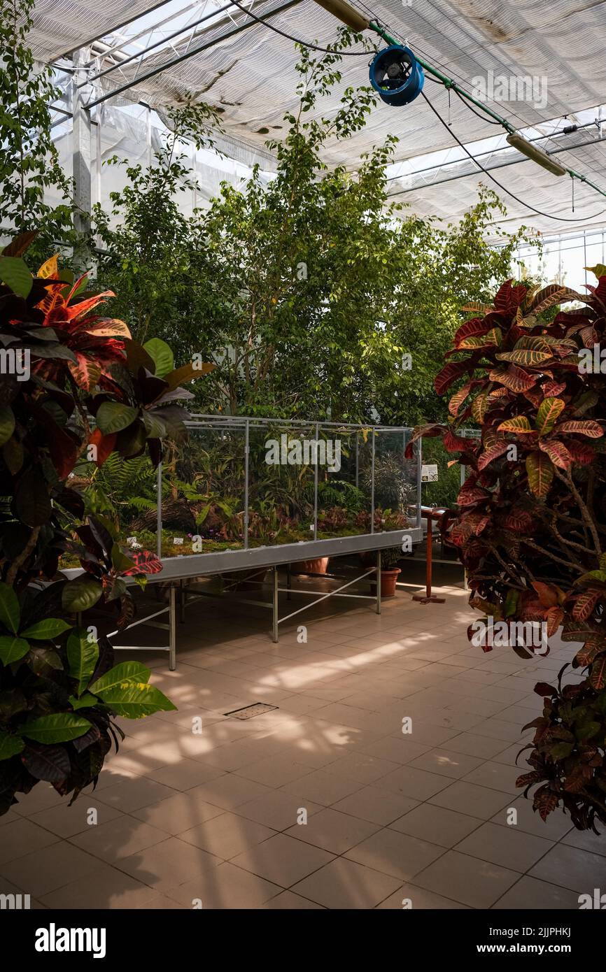 A vertical shot of beautiful plants in an indoor botanical garden of ...