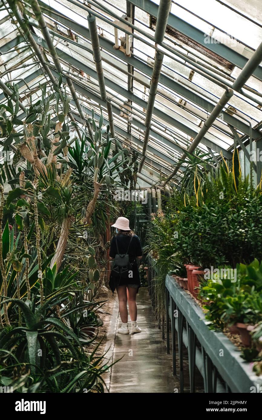 A vertical shot of the interior of Botanical Garden of Iasi, Romania ...
