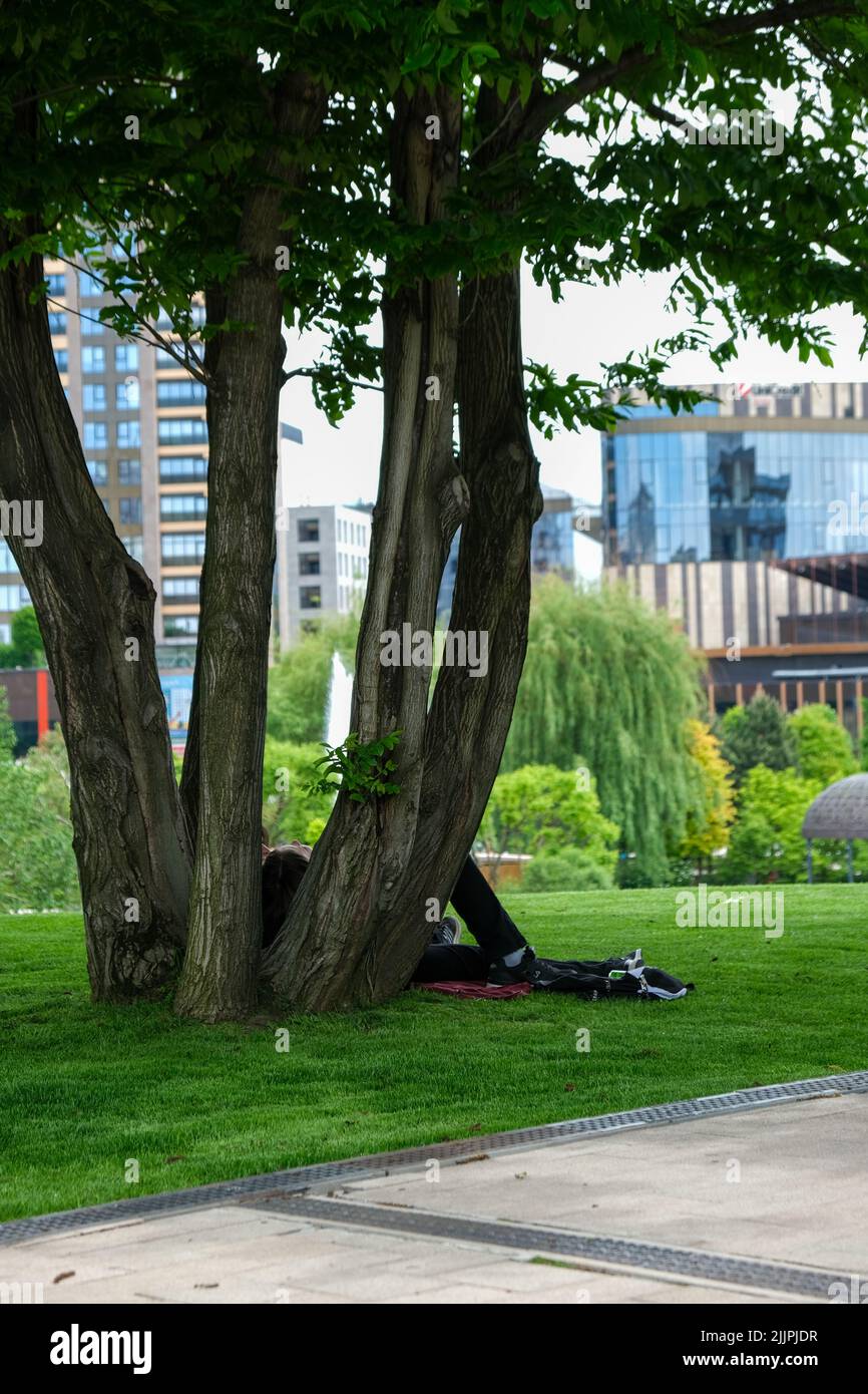 Shot couple sitting on park hi-res stock photography and images - Alamy