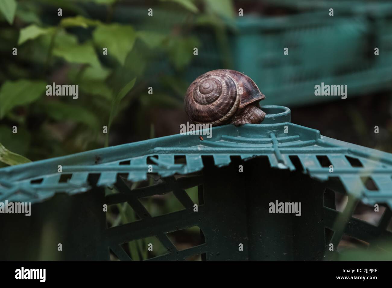 Plastic snail hi-res stock photography and images - Alamy