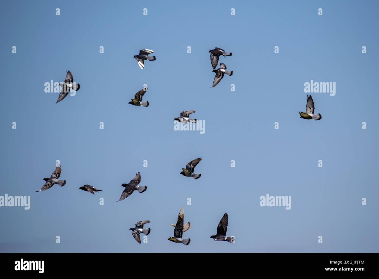 Lasi, romania hi-res stock photography and images - Alamy
