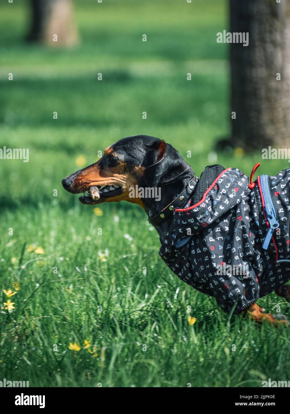 Lasi, romania hi-res stock photography and images - Alamy