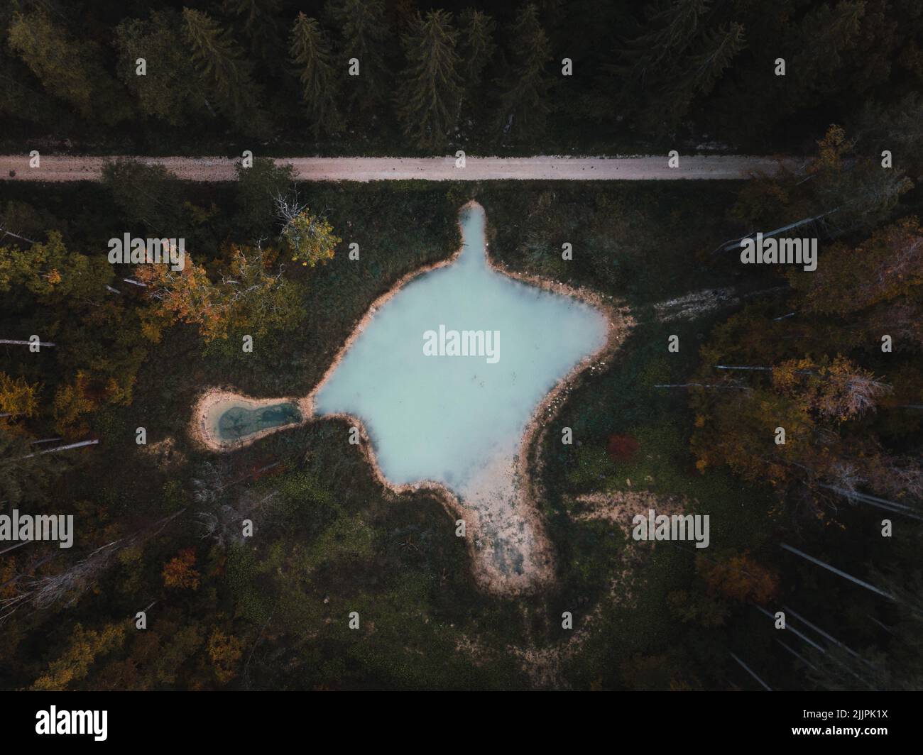 Small lake in a forest hi-res stock photography and images - Alamy