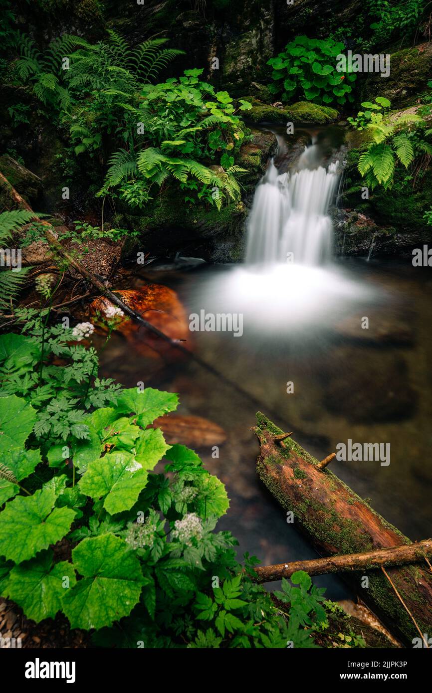 Small waterfall in a forest hi-res stock photography and images - Alamy