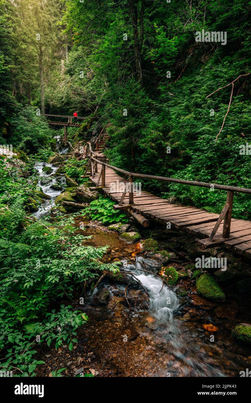 Vertical shot wooden bridge hi-res stock photography and images - Alamy