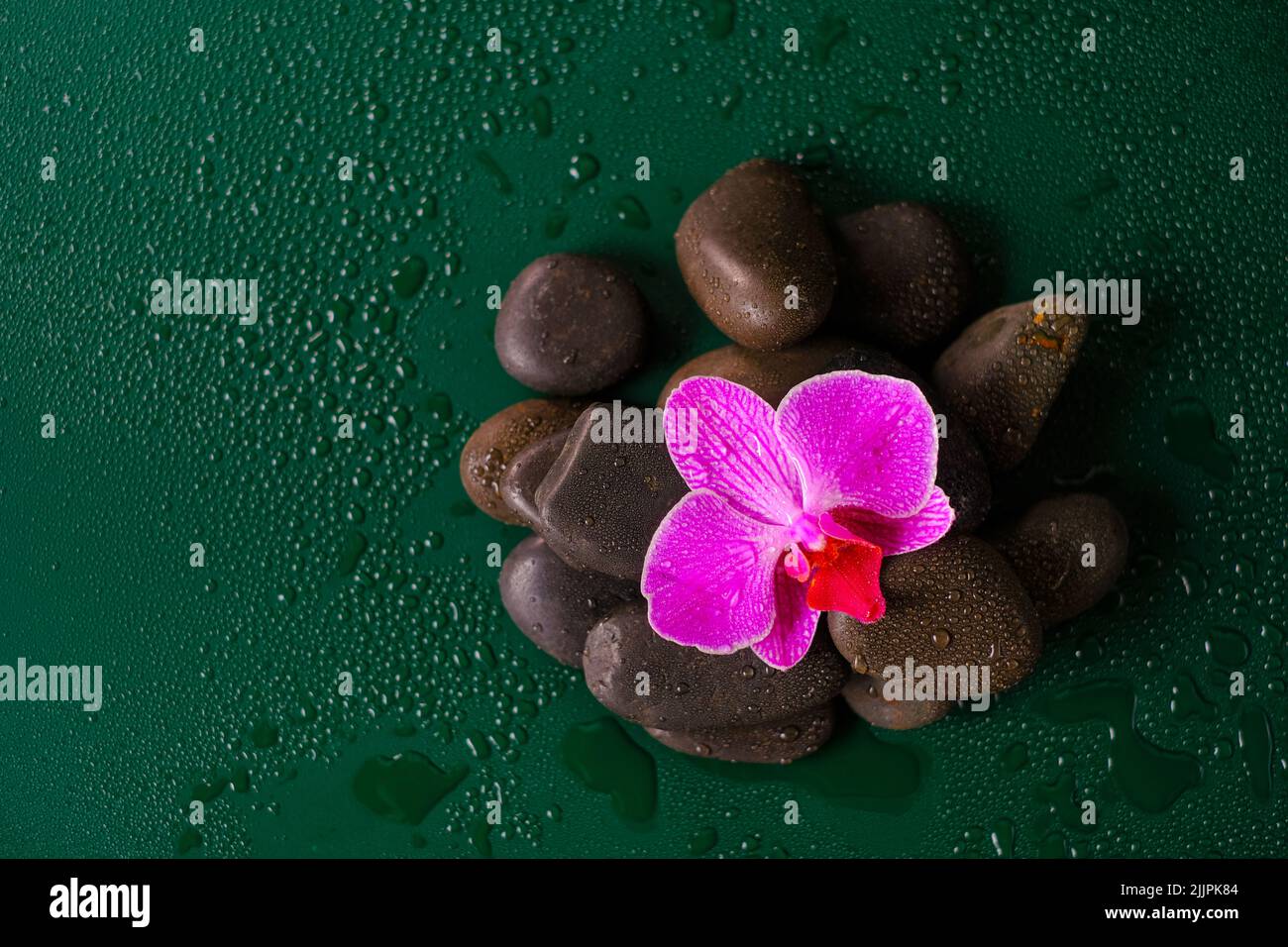 Wellness wallpaper hi-res stock photography and images - Alamy