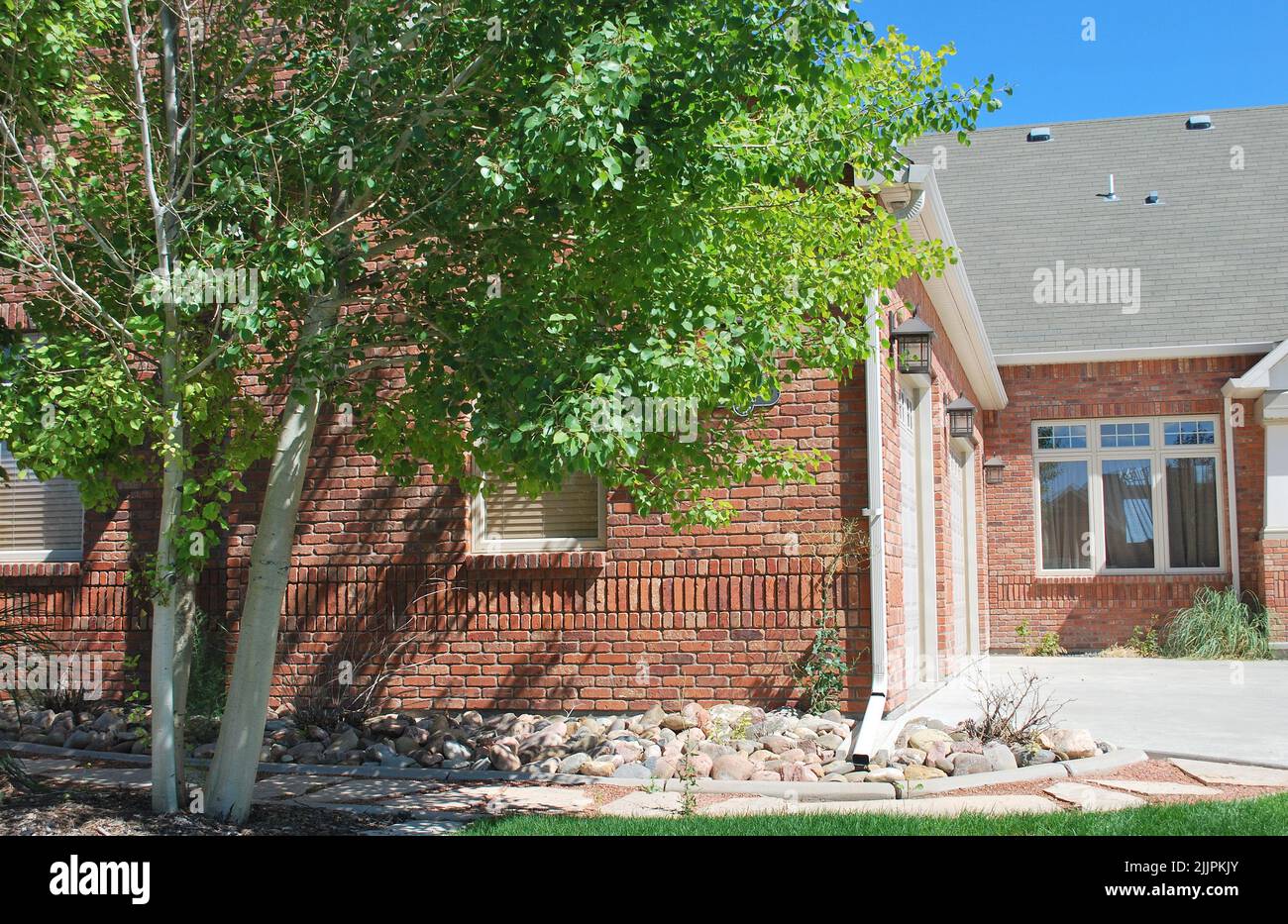 A lush green tree in front of a brick house Stock Photo - Alamy