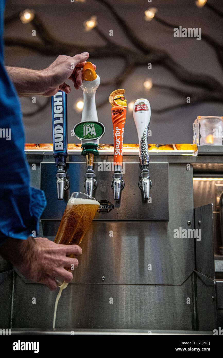 Beer vertical hi-res stock photography and images - Alamy