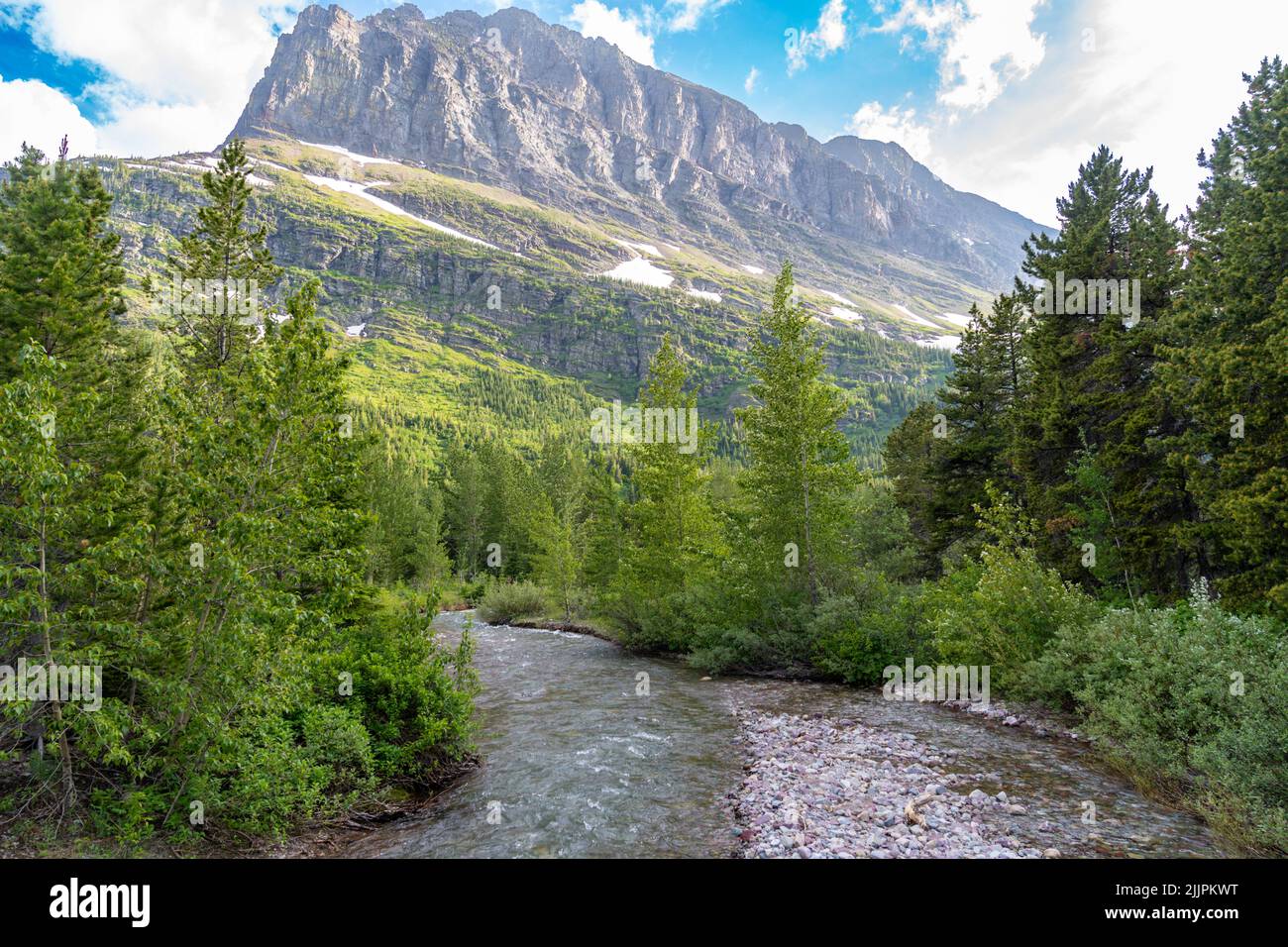 Scenery along the Swiftcurrent Pass hiking trail in Glacier National ...