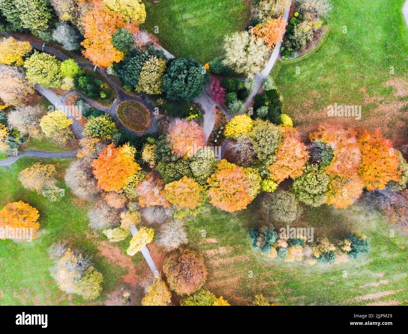 Autumn in Locke Park in Barnsley drone photography, October, autumn ...