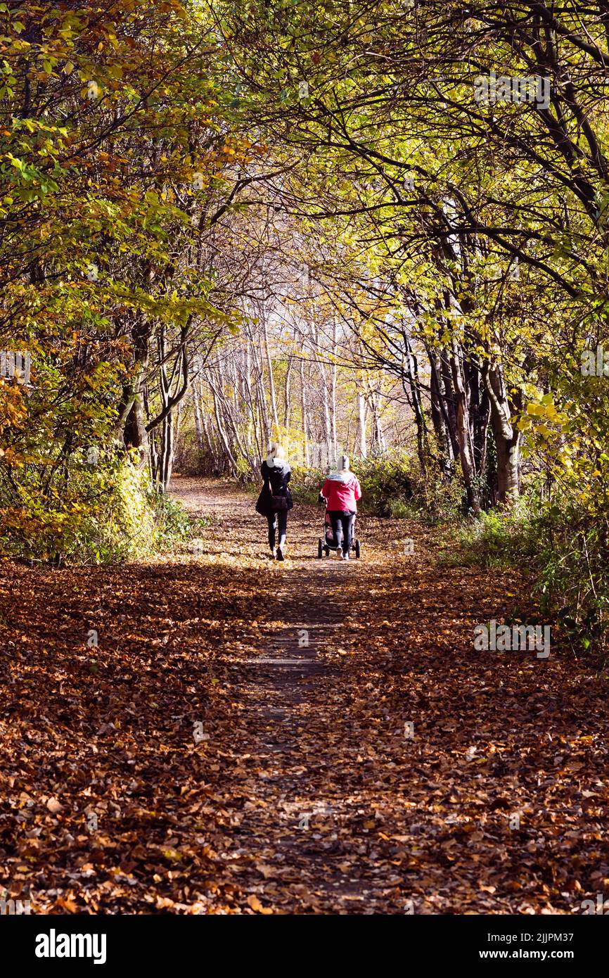A view of people walking at the park with autumn trees Stock Photo - Alamy