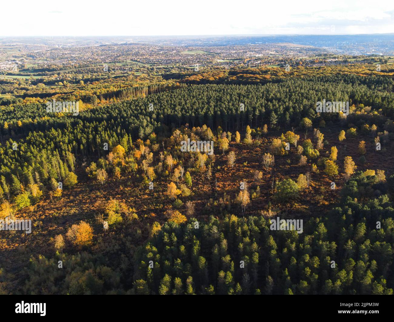 Drone shot of forest hi-res stock photography and images - Alamy