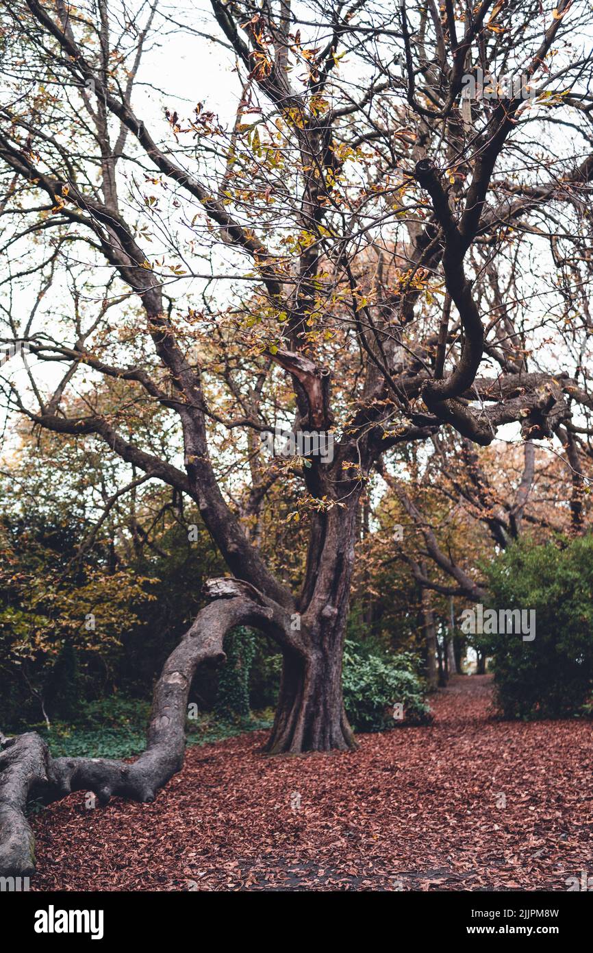 Wakefield landmark hi-res stock photography and images - Alamy