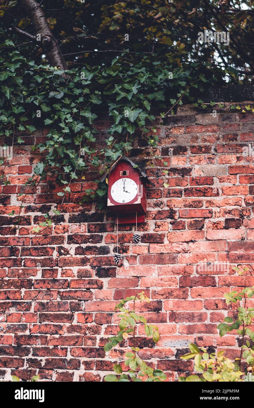Red cuckoo clock hi-res stock photography and images - Alamy