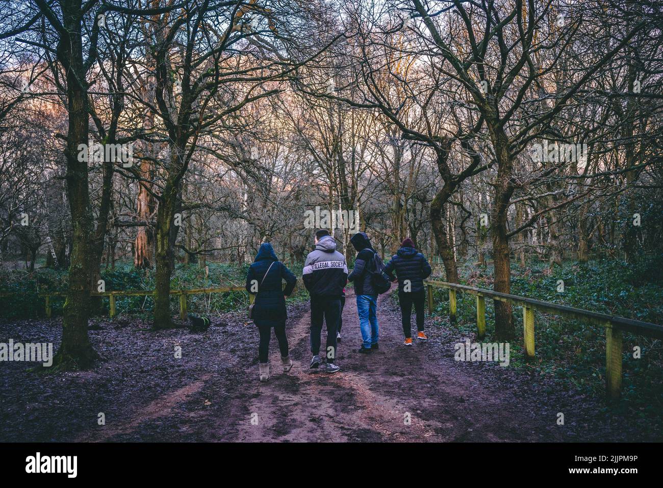 Robin hood forest hi-res stock photography and images - Alamy