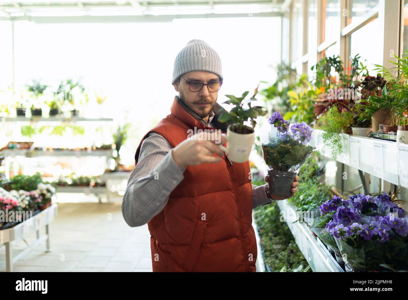 customer examining potted plants in a hardware store Stock Photo - Alamy