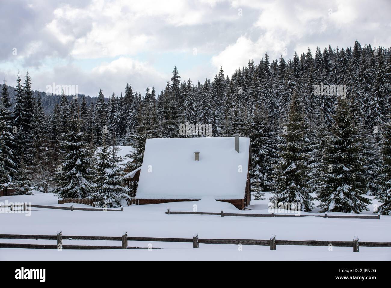 A fairytale landscape with a cottage between pine trees in winter Stock ...