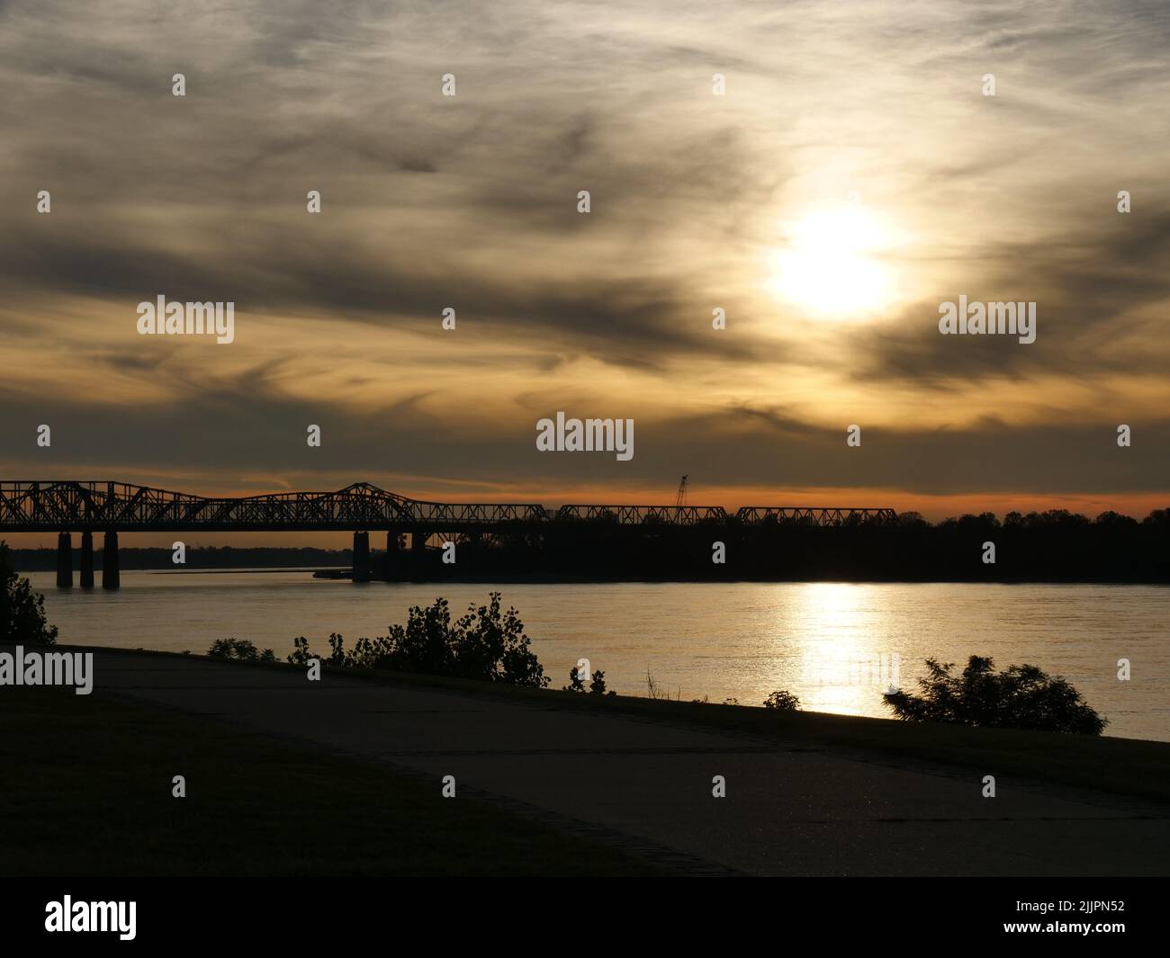 A silhouette of growing bushes near sea in background of bridge during ...