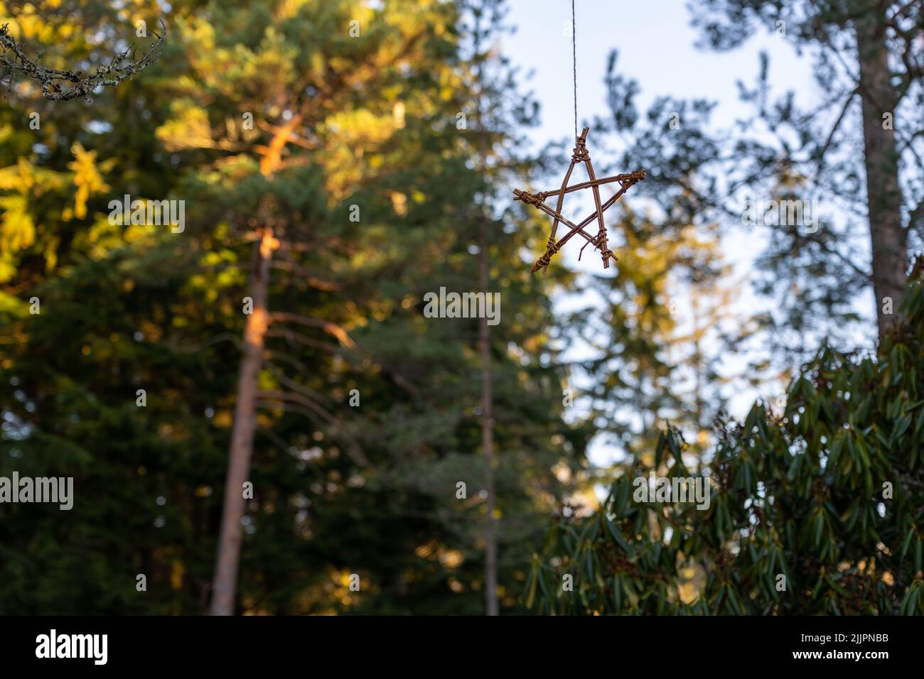The wooden star hung on the tree Stock Photo - Alamy