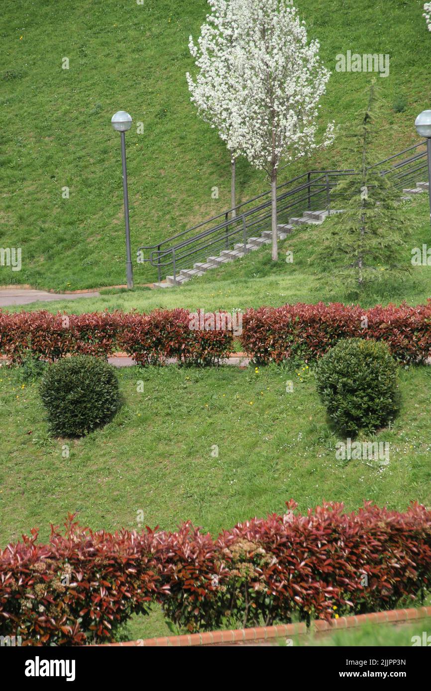 Vertical environment hi-res stock photography and images - Alamy