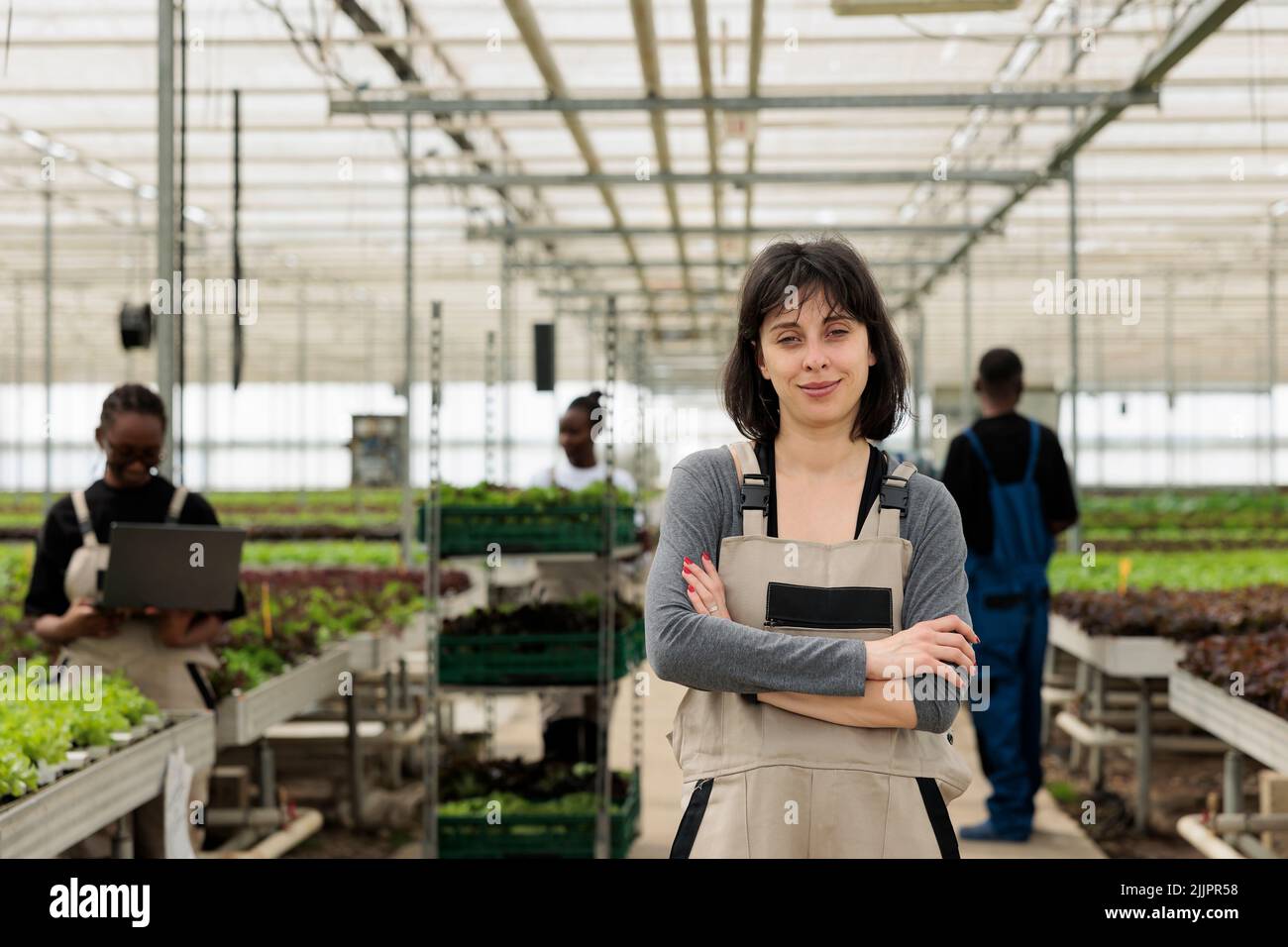 Portrait of greenhouse worker posing happy in organic crops and ...