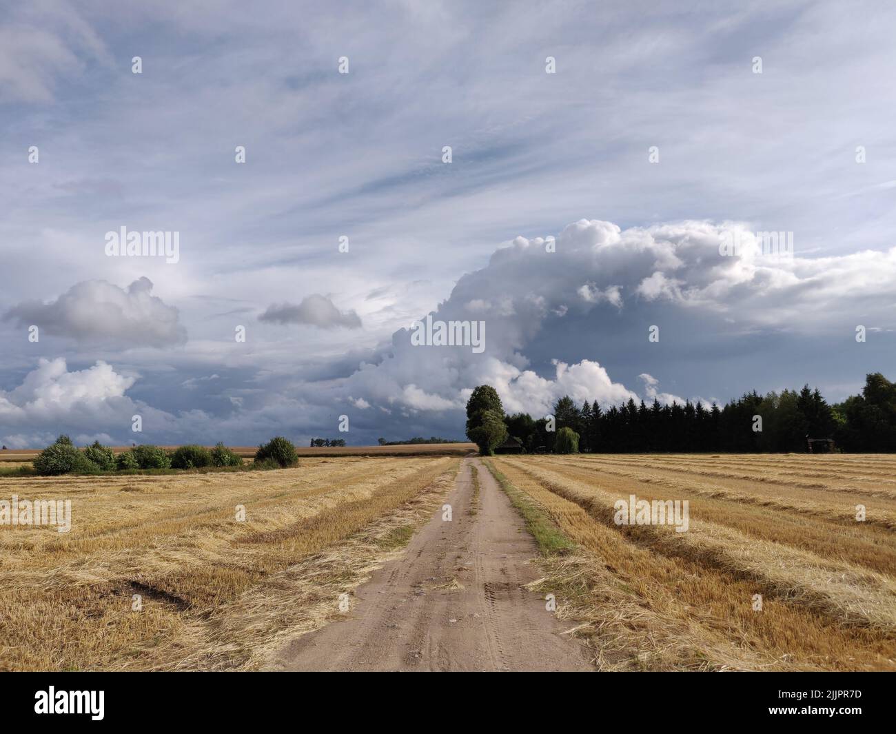 Countryside road in wheat hi-res stock photography and images - Alamy