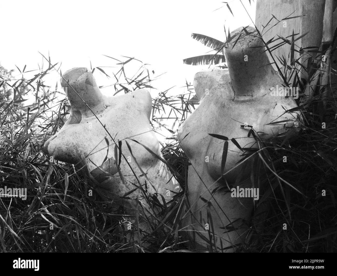 Headless female hi-res stock photography and images - Alamy