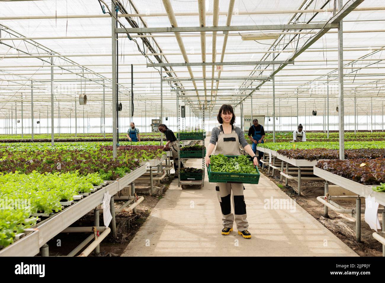 Smiling caucasian woman holding crate with fresh batch of organic ...