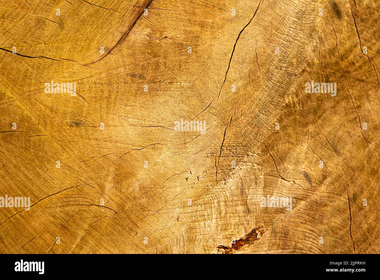 A brown wooden bark texture background - real oak wood Stock Photo - Alamy