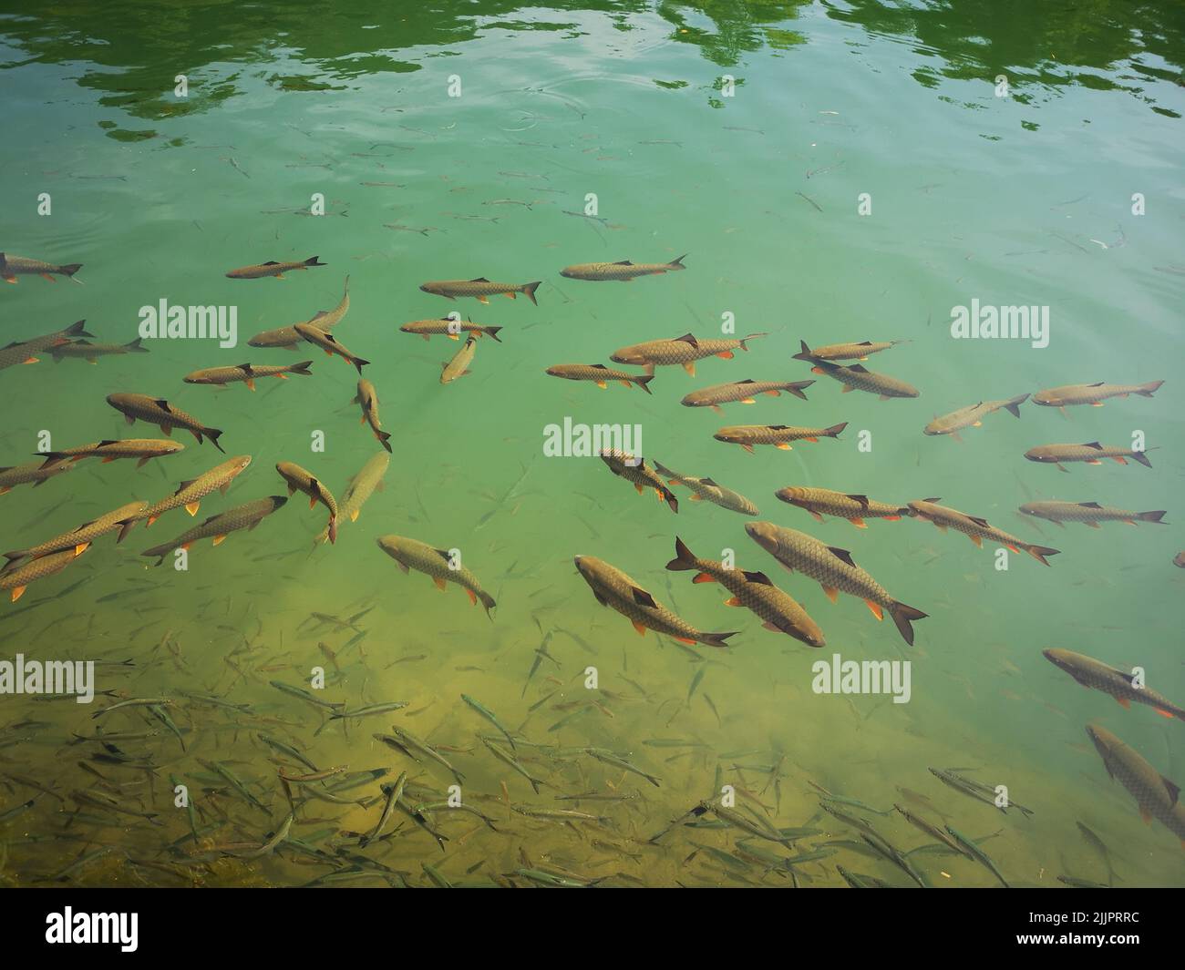 Group marine hi-res stock photography and images - Alamy