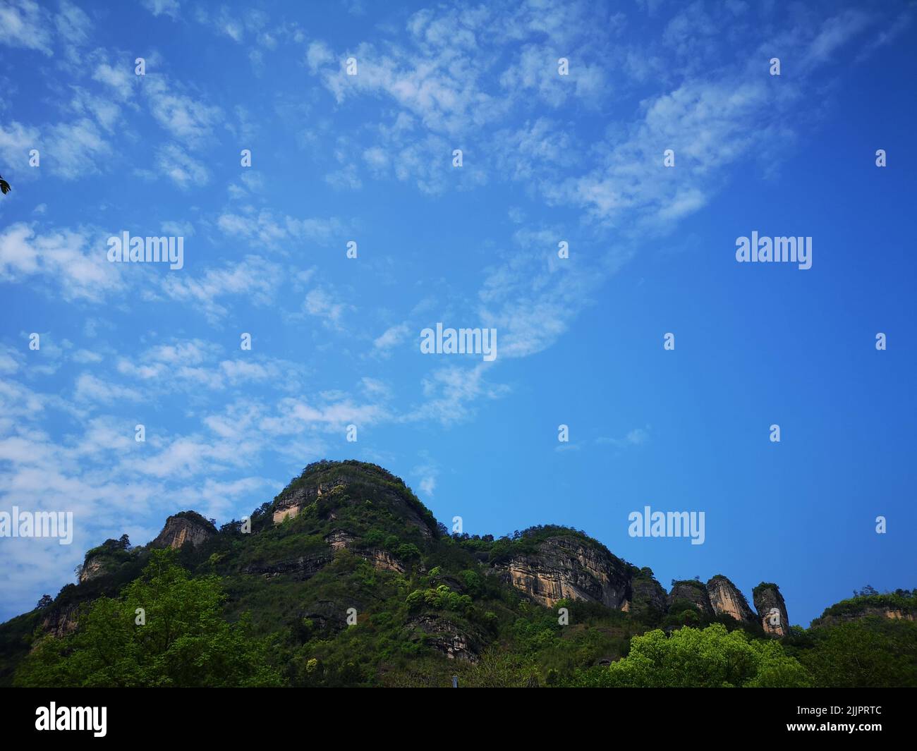 Highland shrubs hi-res stock photography and images - Alamy