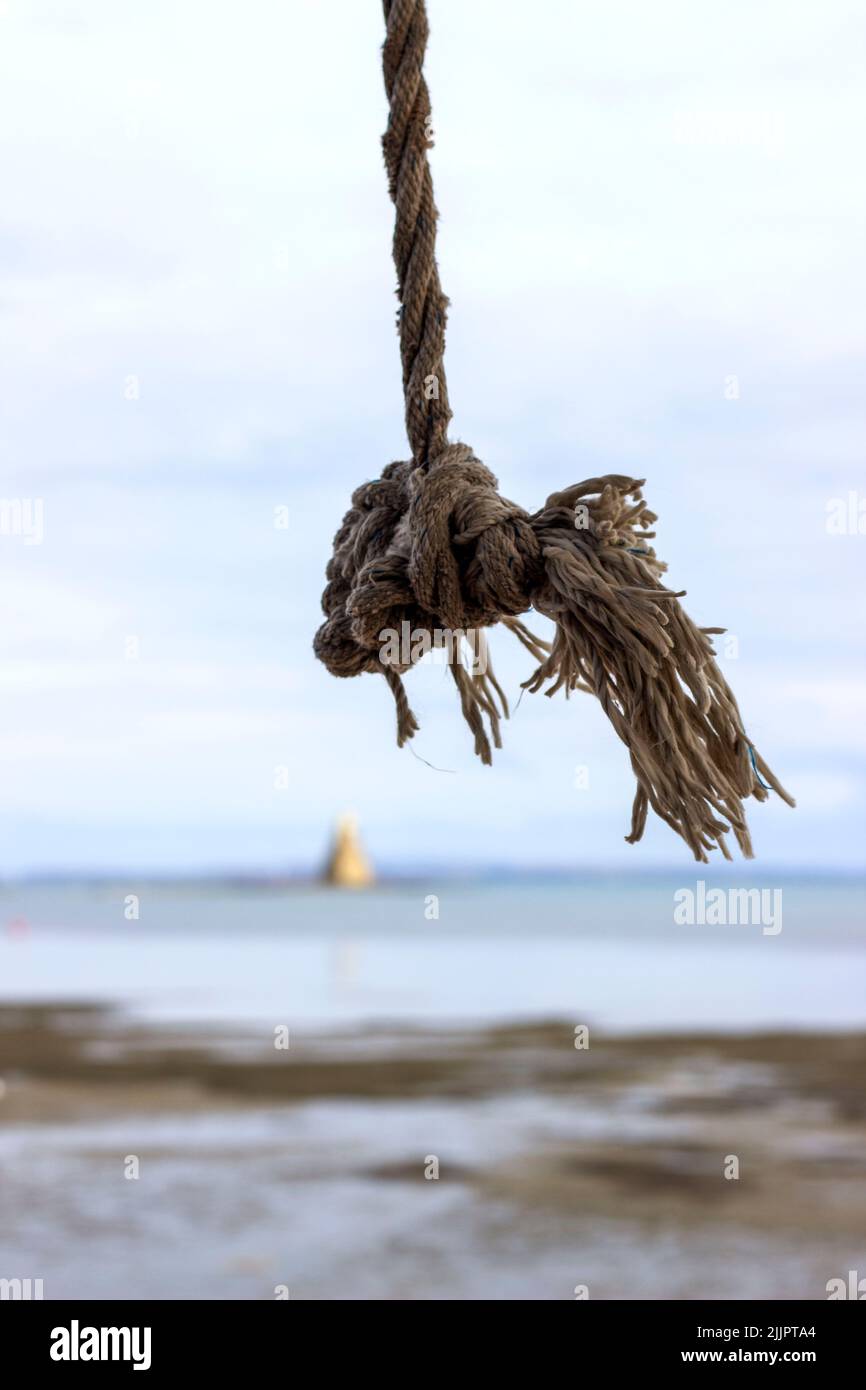A hanging rope at Matakatia Beach in Auckland, New Zealand Stock Photo ...