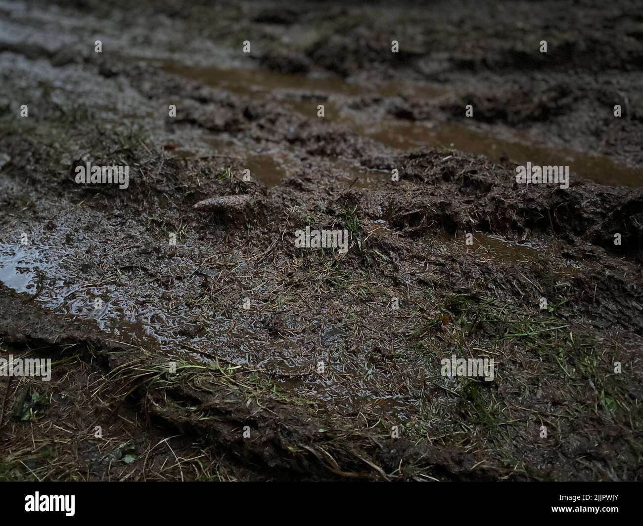 A high-angle shot of a wet muddy frozen road in the field in the ...