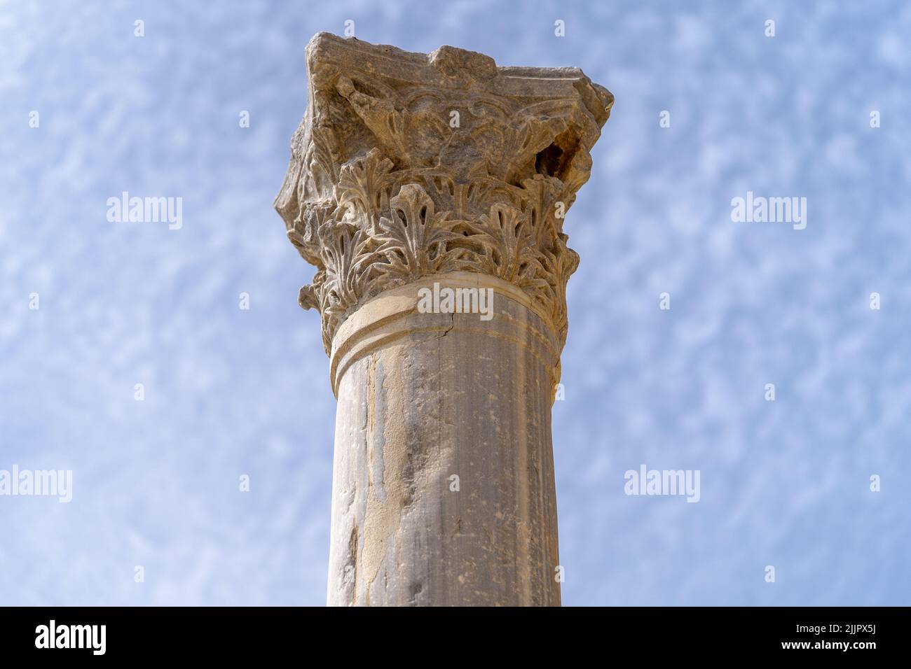 A closeup of the upper part of a corinthian column against a blurred ...