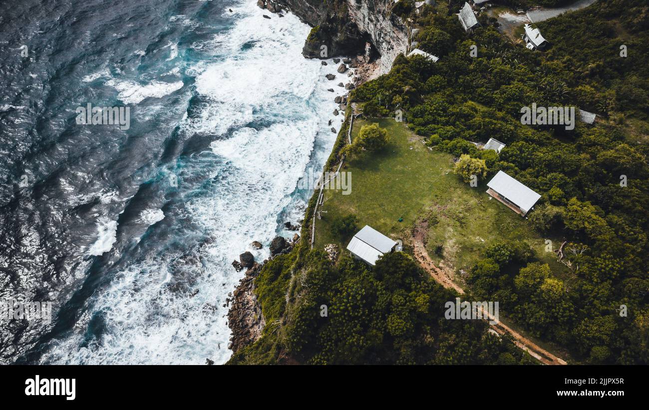 An aerial view of a rural green field with trees on the shore of a blue ...