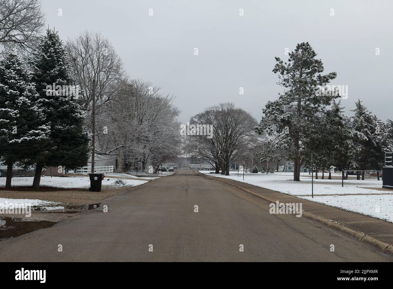 An empty long road surrounded by high leafless trees in wintertime ...
