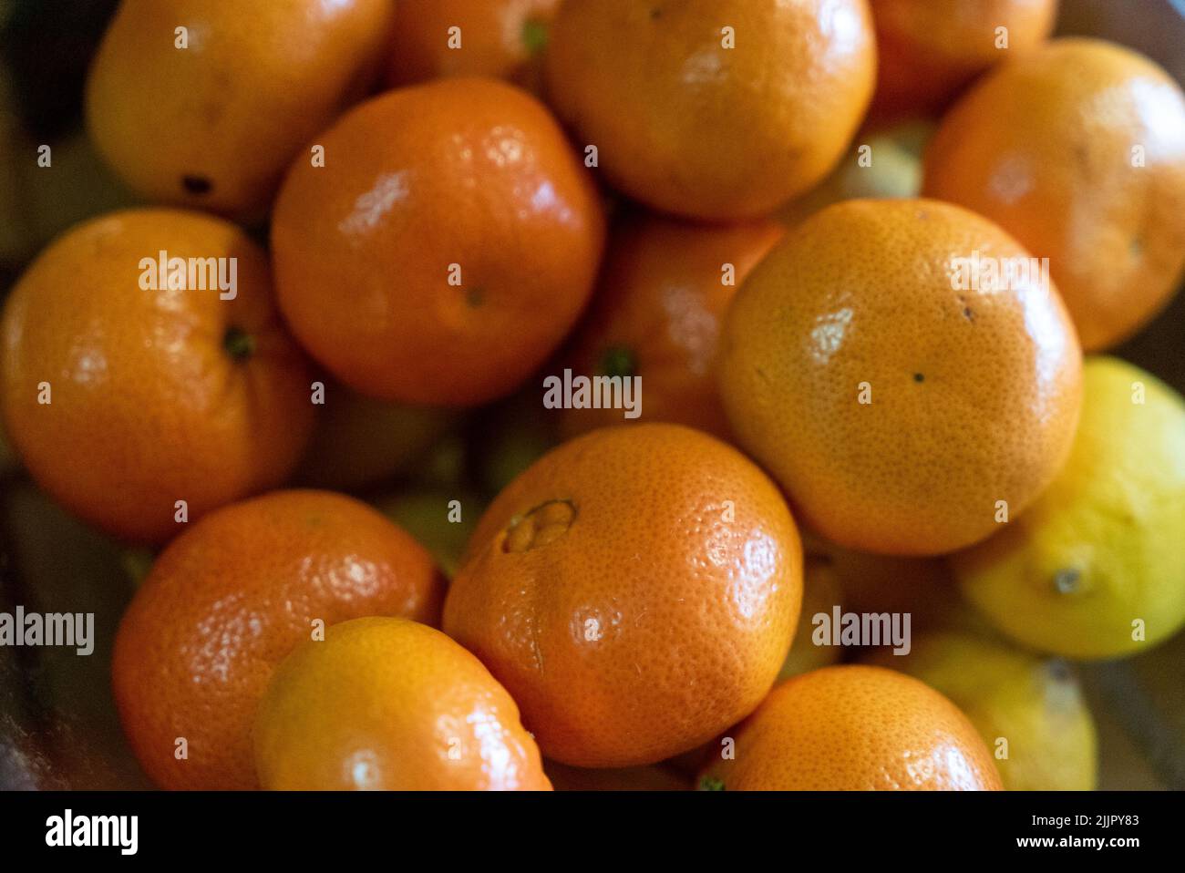 Ripe citrus fruits hi-res stock photography and images - Alamy
