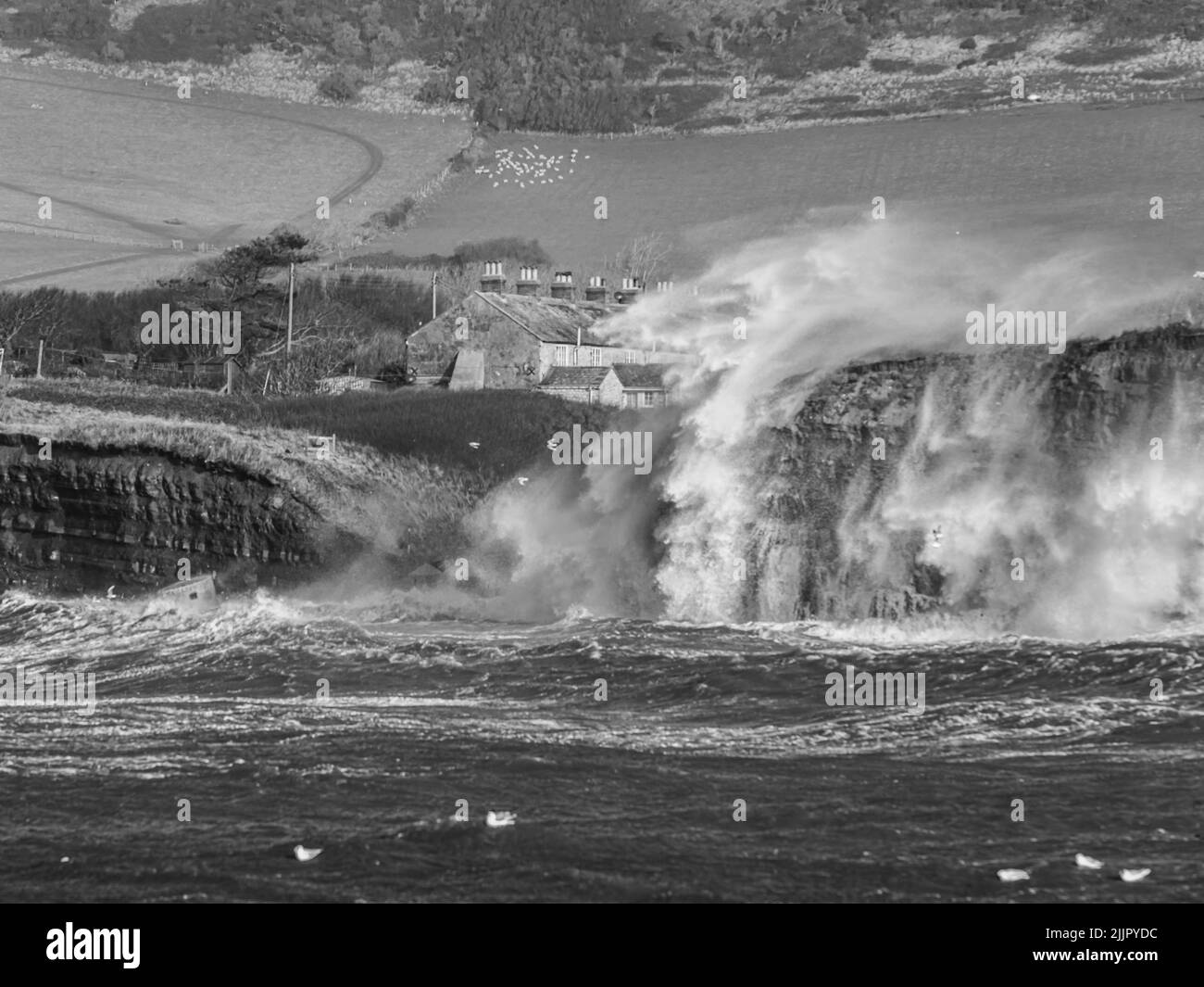 Beauty wave background Black and White Stock Photos & Images - Alamy