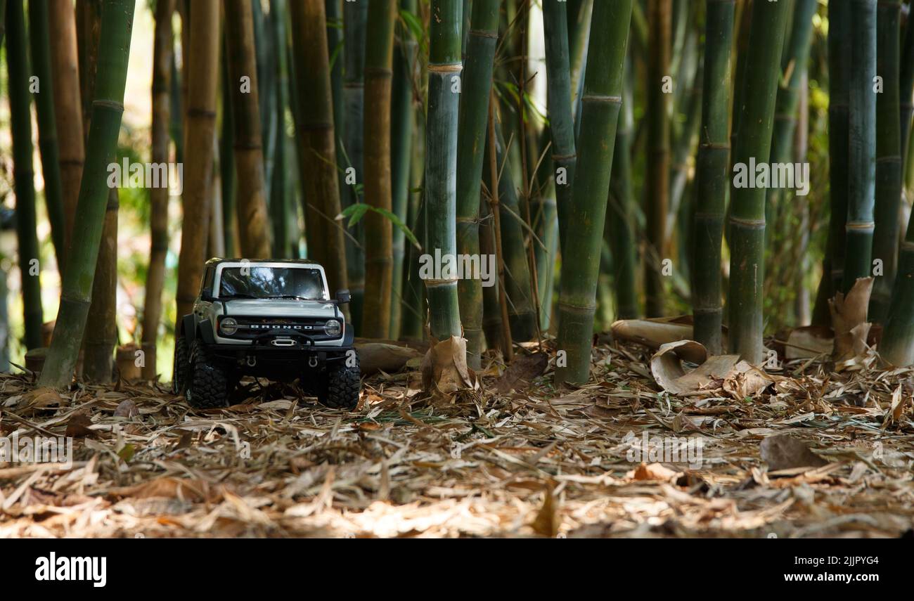 A beautiful shot of the Traxxas TRX4 2021 Ford Bronco RC car in the ...