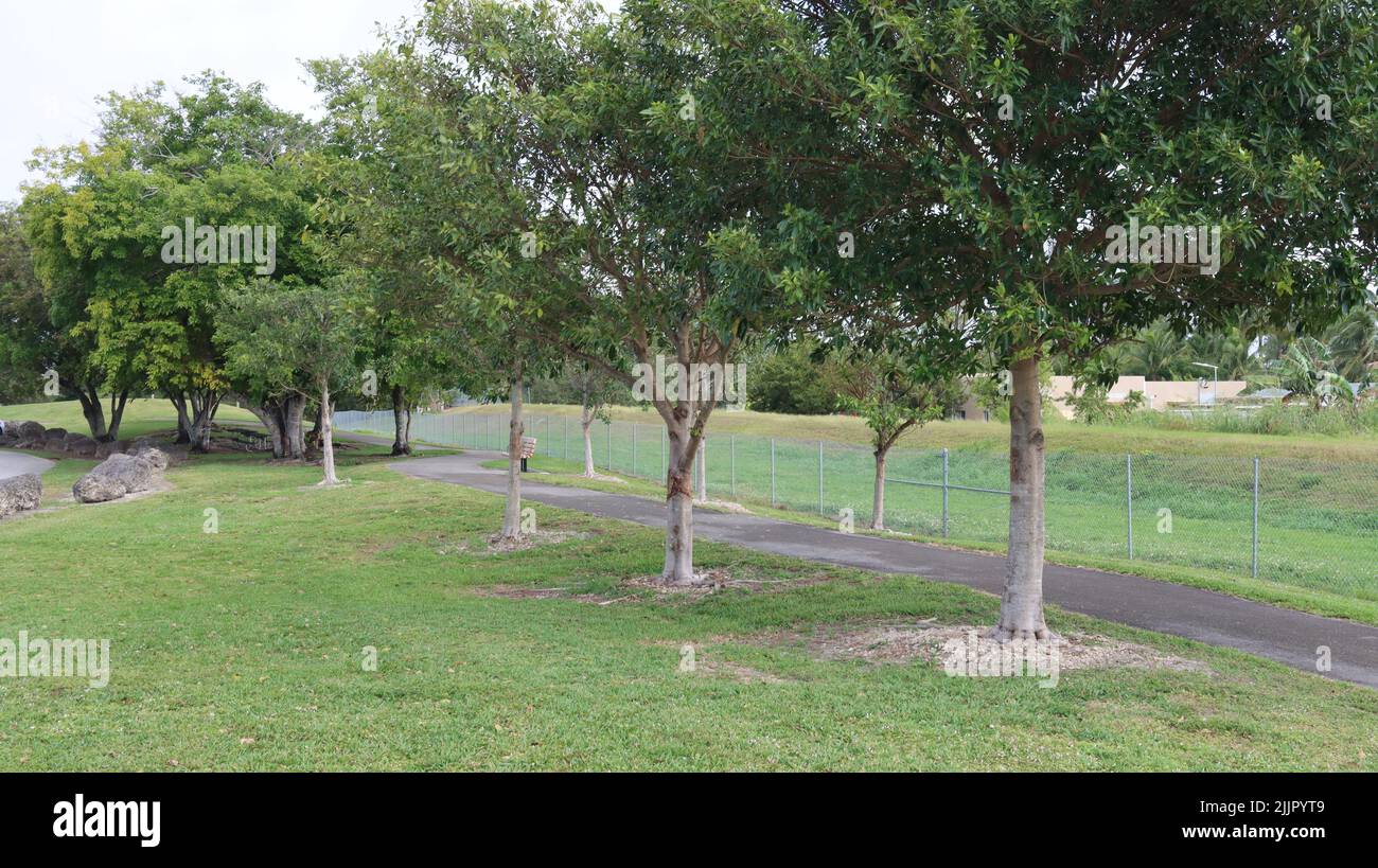 a photo of park with trees Stock Photo - Alamy