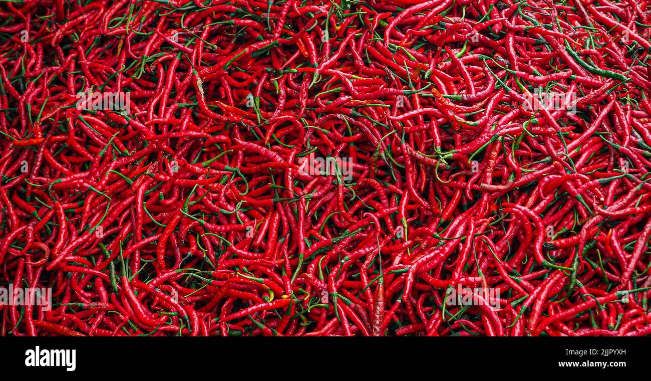 A panoramic top view of a stack of red spicy chili peppers Stock Photo ...
