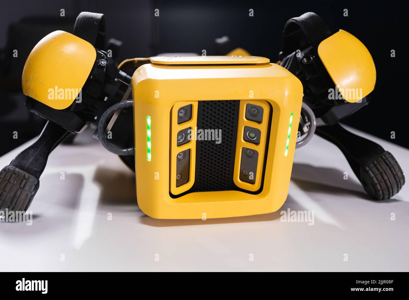 Robot Dog Boston Dynamics Price at Willy Booth blog