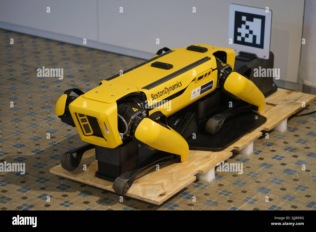 Robot Dog Boston Dynamics Price at Willy Booth blog