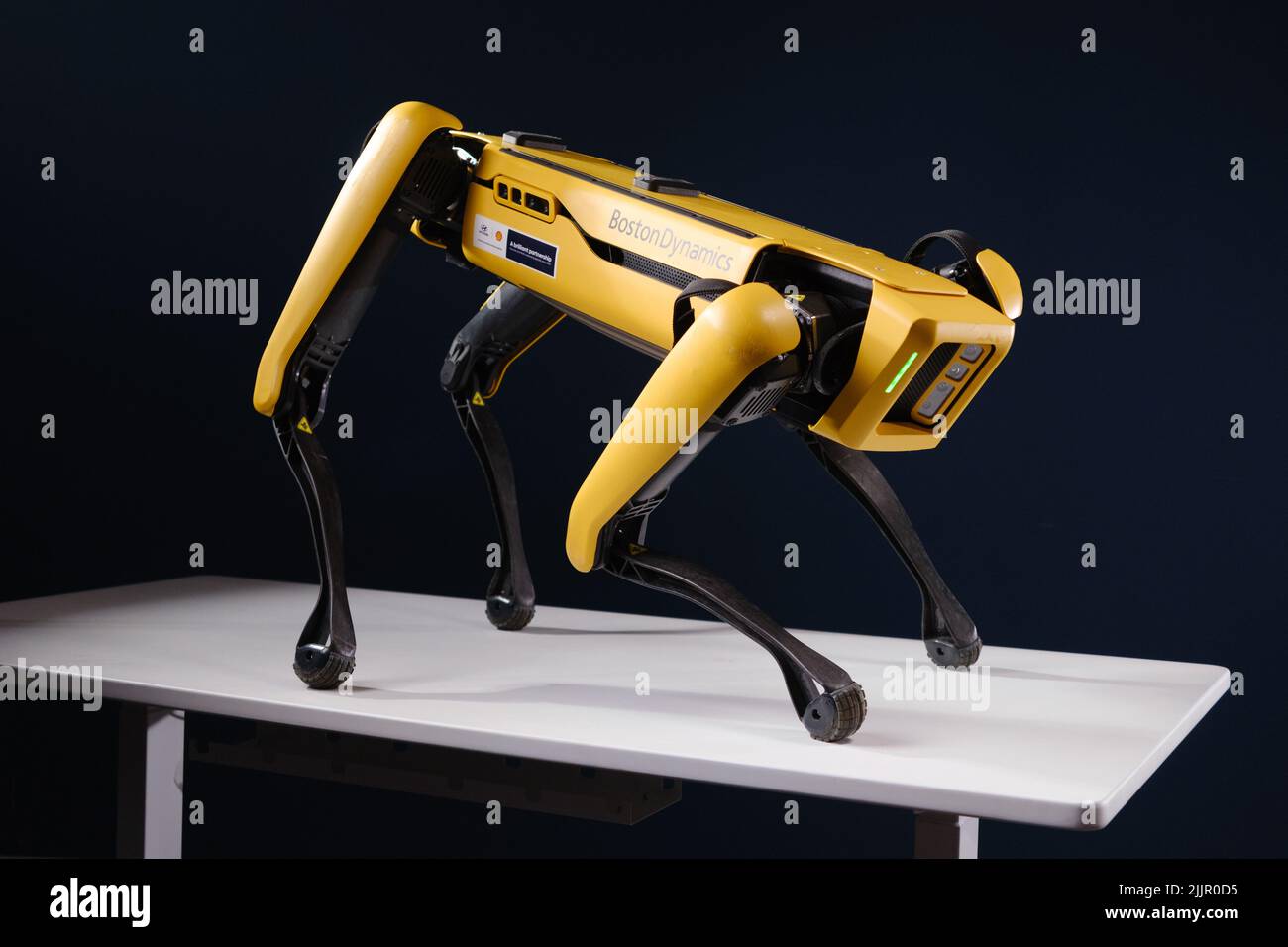 HCMC, Vietnam - Jul 2022: Robot Dog Boston Dynamics Stock Photo - Alamy
