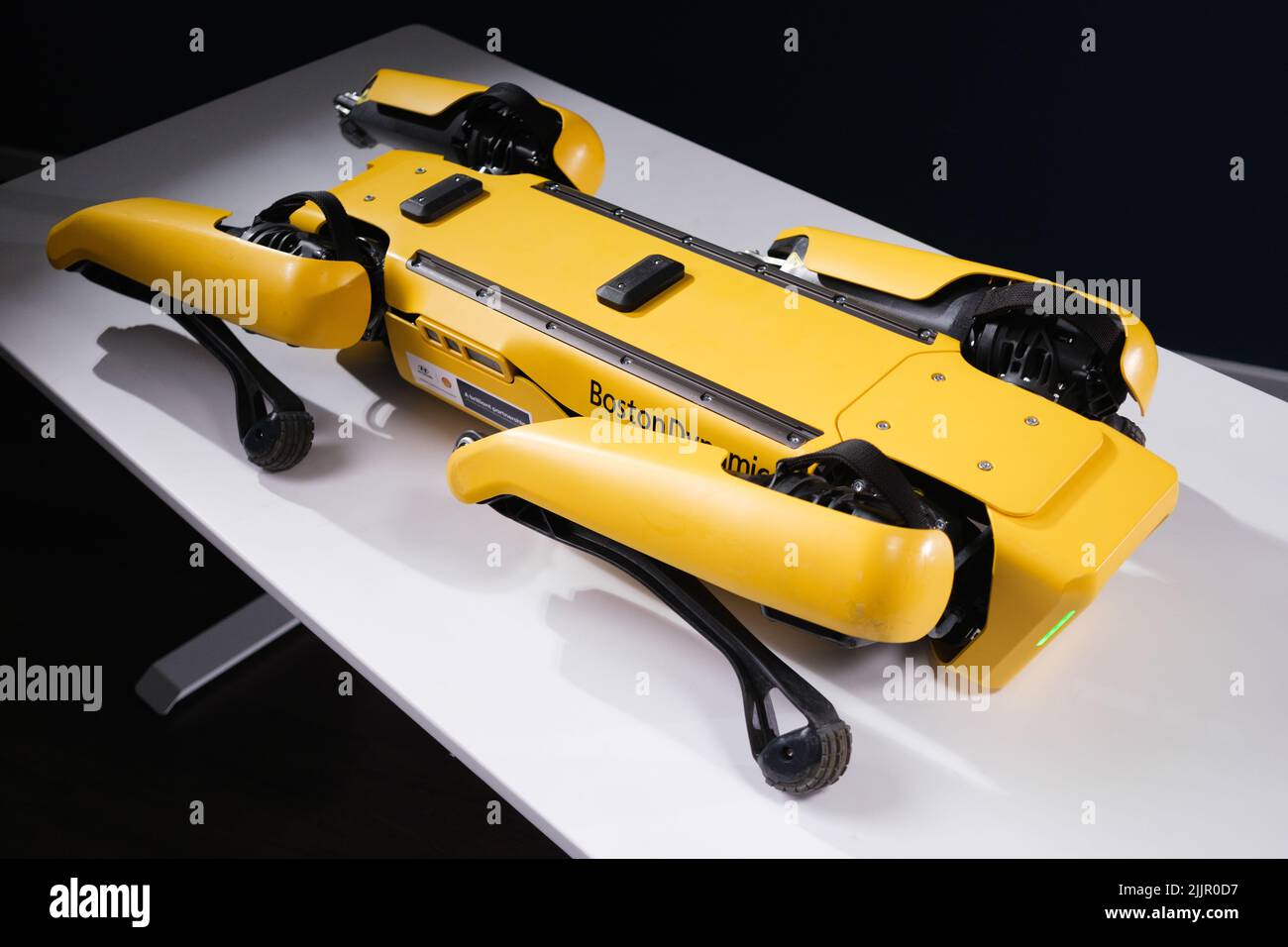 Robot Dog Boston Dynamics