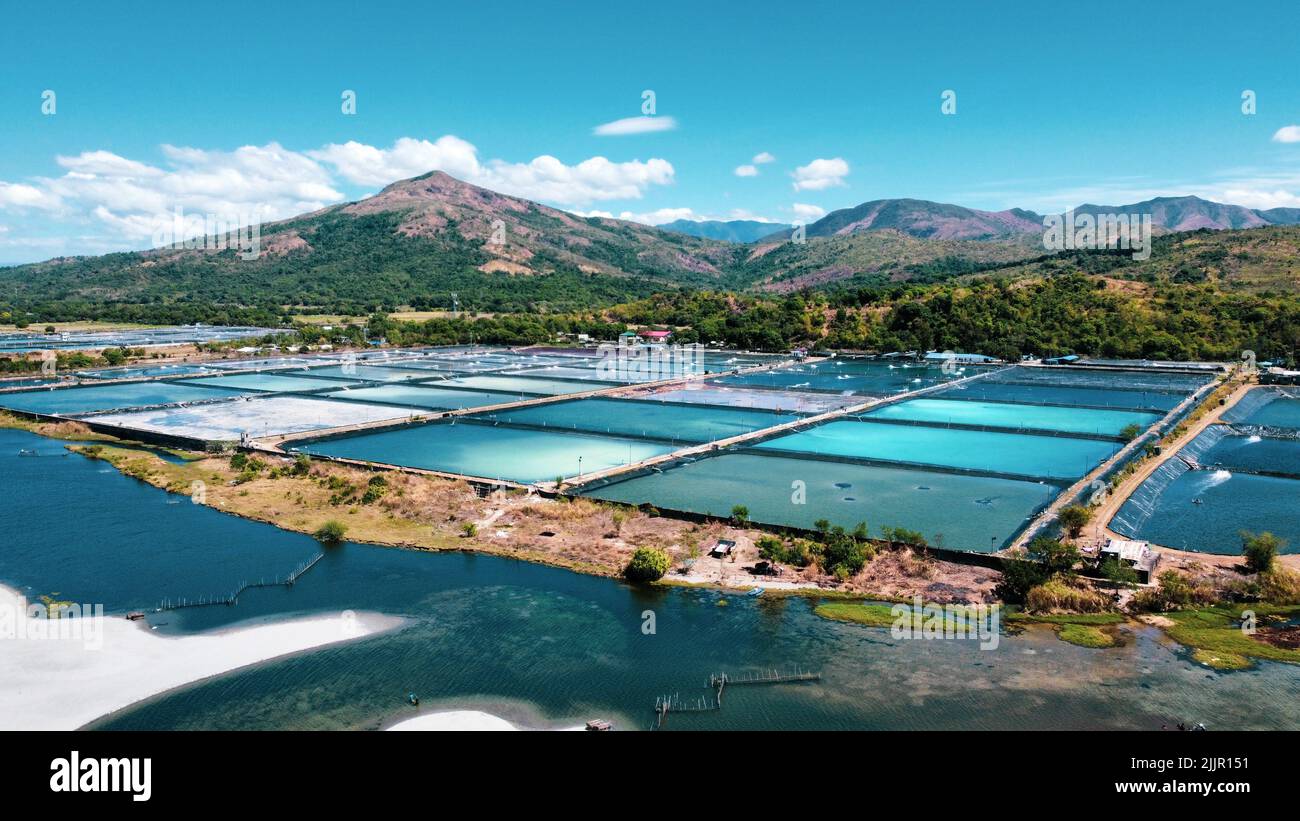Shrimp farms hi-res stock photography and images - Alamy