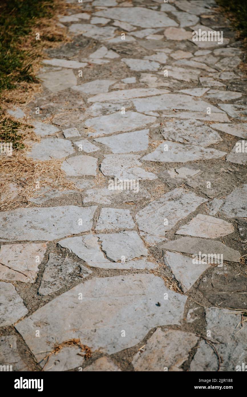 A vertical shot of a stone pavement pathway in a backyard Stock Photo ...